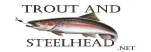 What Is A Steelhead? Is It A Salmon Or Trout? 2025