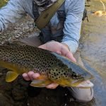 The 4 Most Effective 2-Fly Setups For Nymphs That Guides Use