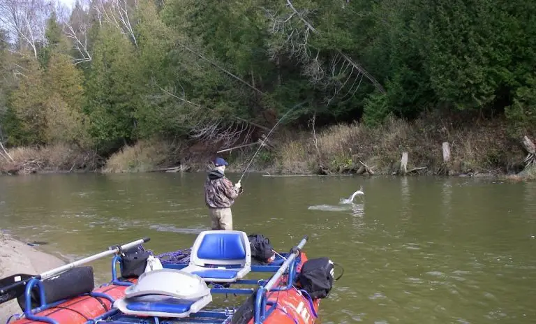 Centerpin Fishing For Steelhead: 13 Tips Of Expert Guides