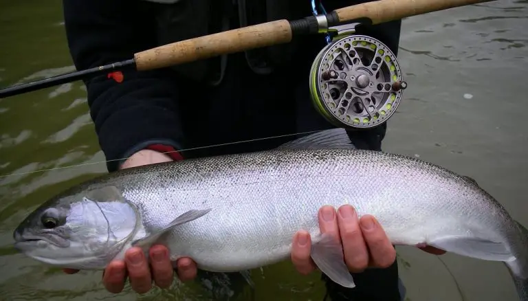 5 Float Fishing Leader Setup For All Different Waters 2025