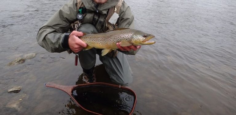 Spring Trout Fishing: Tips From River Guides 2025