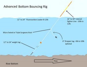 5 Most Effective Powerbait Rigs For Multiple Methods 2025