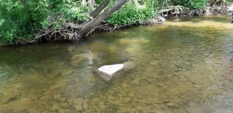 22 Small Stream Trout Fishing Tips And Tactics Of Experts