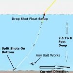 6 Best Steelhead Fishing Rigs That Guide Use 2025