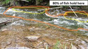 Spin Fishing For Trout: Guide Methods And Tips