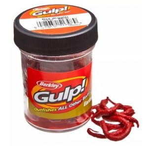 Best 15 Trout Baits Used By Top River Guides