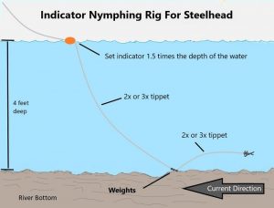 Nymphing For Steelhead: The 2 Most Effective Methods 2025