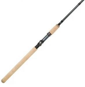 Best River Fishing Rods Of 2025: Trout And Steelhead Rods