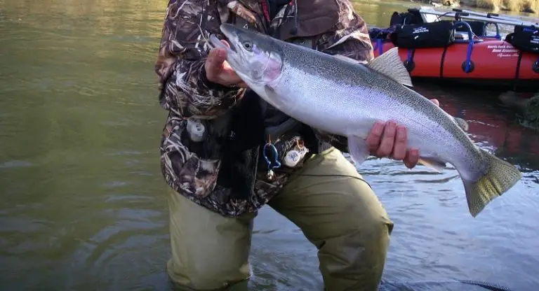 Chagrin River Steelhead Fishing: Maps, Methods, And More