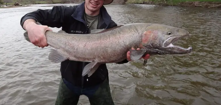 Spring Steelhead Fishing: Tips And Tactics From The Guides