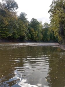 Chagrin River Steelhead Fishing: Maps, Methods, And More