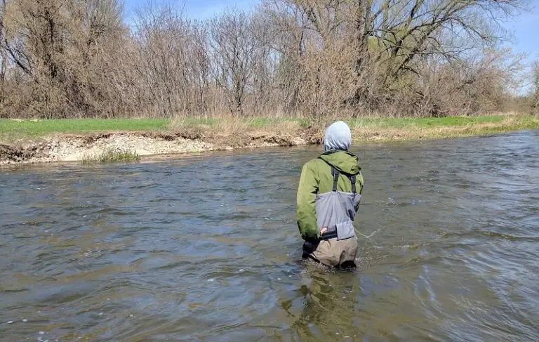 Steelhead Run Ohio: Guide Tips For Timing The Runs 2025