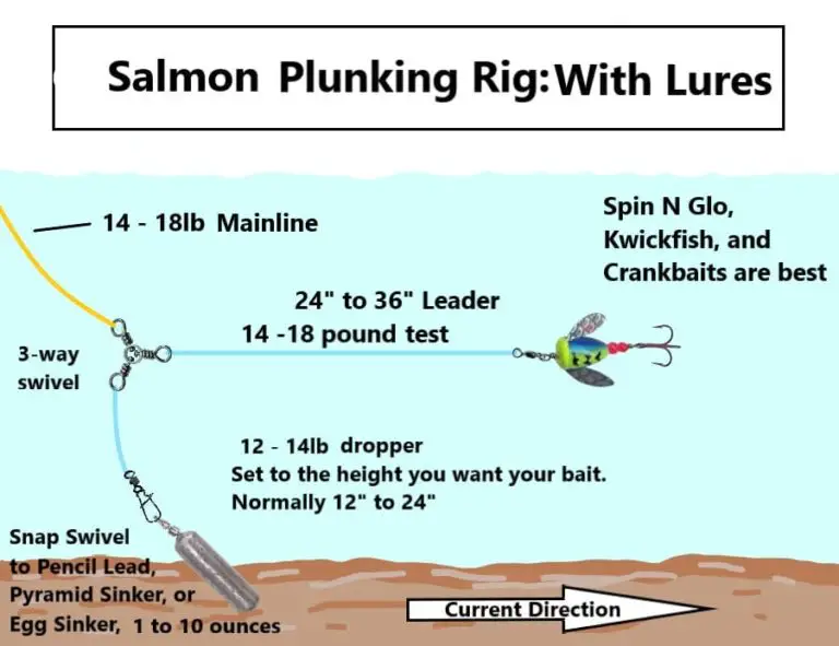 10 Best Salmon Leaders And Setups For Multiple Methods 2025