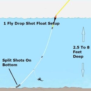 6 Salmon Fishing Rigs: Most Effective Rigs Of Salmon Guides