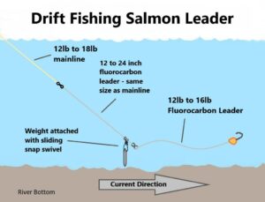 6 Salmon Fishing Rigs: Most Effective Rigs Of Salmon Guides