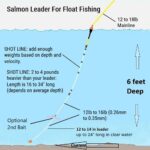 6 Salmon Fishing Rigs: Most Effective Rigs Of Salmon Guides