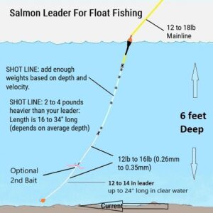 6 Salmon Fishing Rigs: Most Effective Rigs Of Salmon Guides