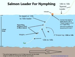 Fly Fishing For Salmon: Guide Tactics And Tips 2025