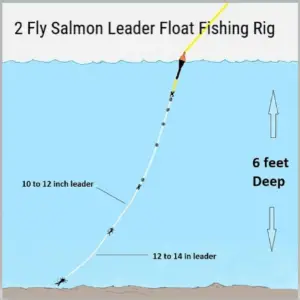 6 Salmon Fishing Rigs: Most Effective Rigs Of Salmon Guides