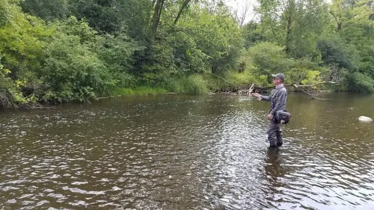 Fly Fishing Virginia: Where And When For More Fish 2025