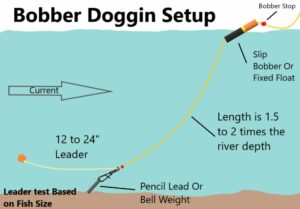 6 Best Steelhead Fishing Rigs That Guide Use 2025