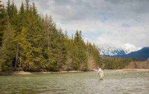 British Columbia Steelhead Fishing: A Complete Guide 2025