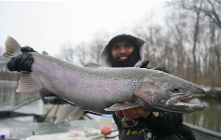The Ultimate Guide To Steelhead Fishing Michigan 2025