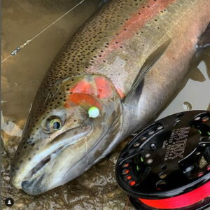 Centerpin Fishing: Expert Set-Ups, Tactics, And Tips 2025