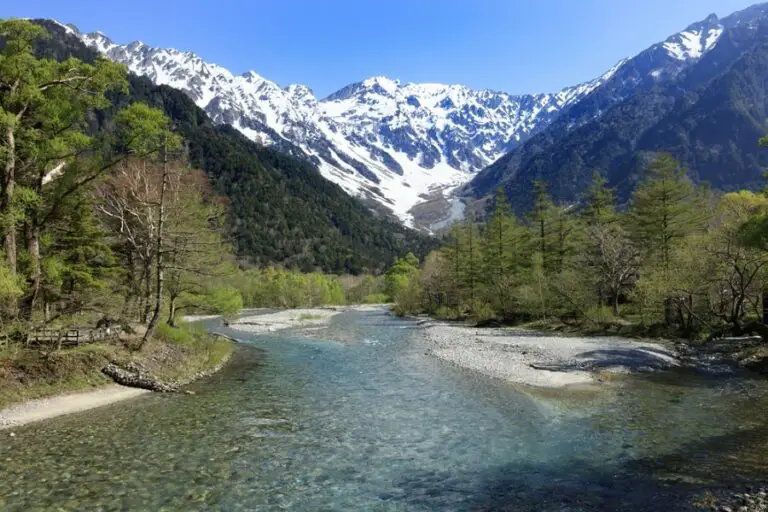 Steelhead Fishing Washington: A Complete Guide 2025