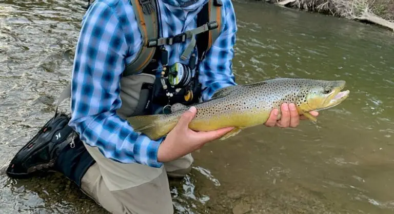 How To Catch Trout: Expert Advice From A Trout Guide 2025