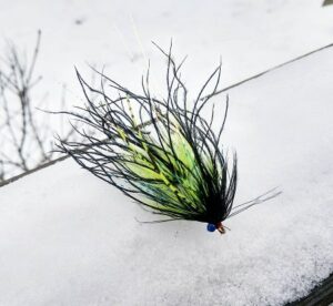 Best Spey Flies For Great Lakes Steelhead And Salmon - Trout Steelhead ...