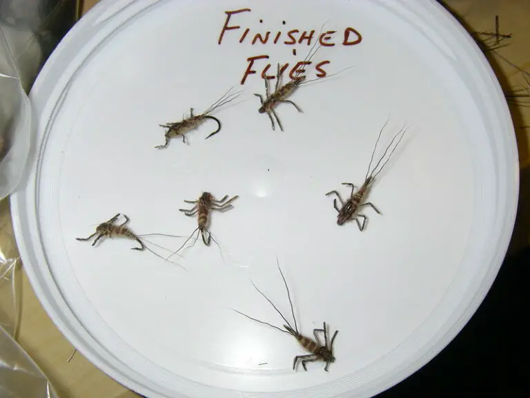 Nymphing: An Experts Introduction To Nymph Fishing