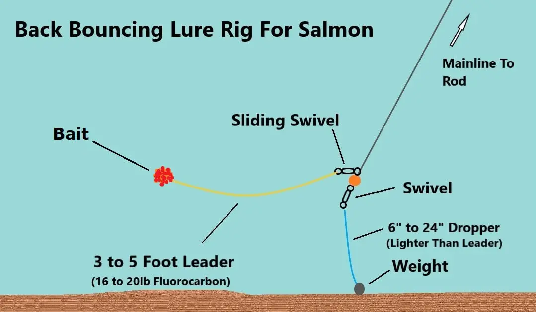 Back Bouncing For Salmon: Pro Tips For More Fish 2025