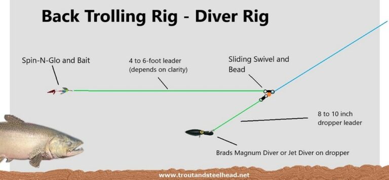 Back Trolling For Steelhead: 5 Expert Tips For More Bites