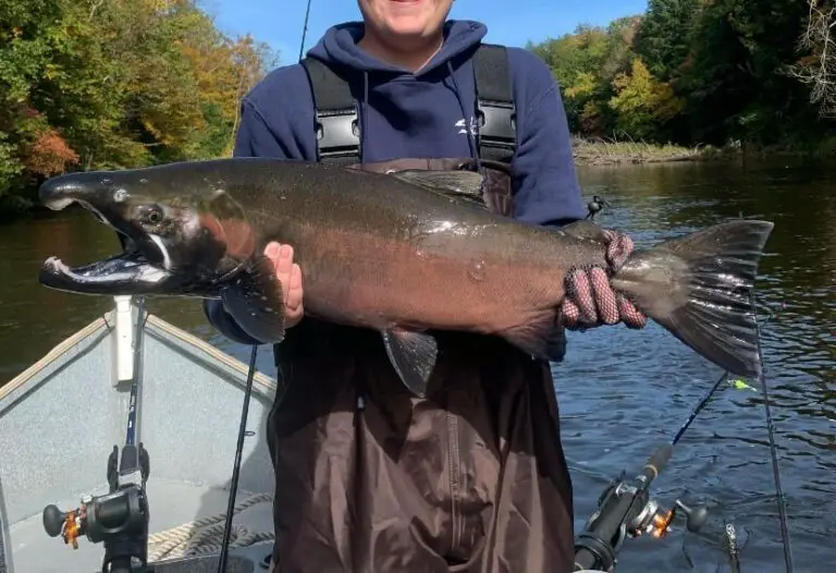 Salmon Fishing: The Most Comprehensive Guide - Trout Steelhead And ...