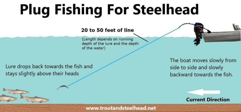 10 Best Tips And Tactics For Plugging For Steelhead 2025