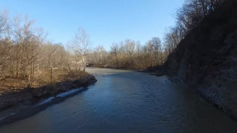 Vermilion River Steelhead Fishing: Access Map And Tips 2025