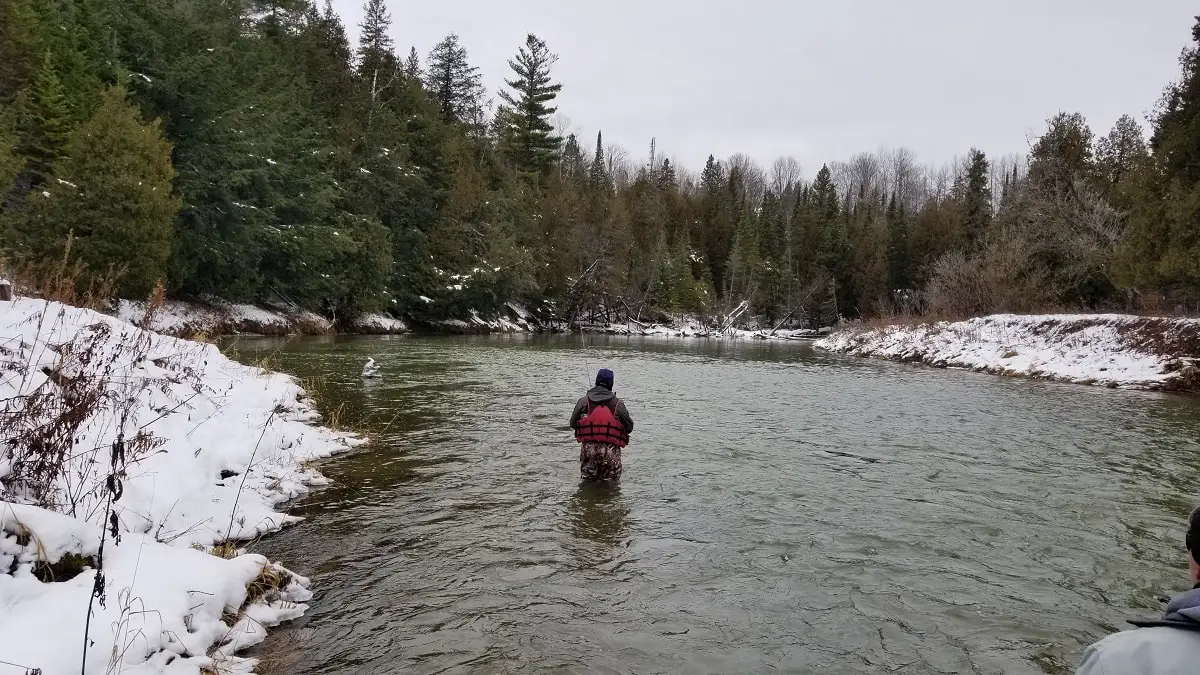 Spey Fishing For Steelhead: Best Setup And Tactics 2025